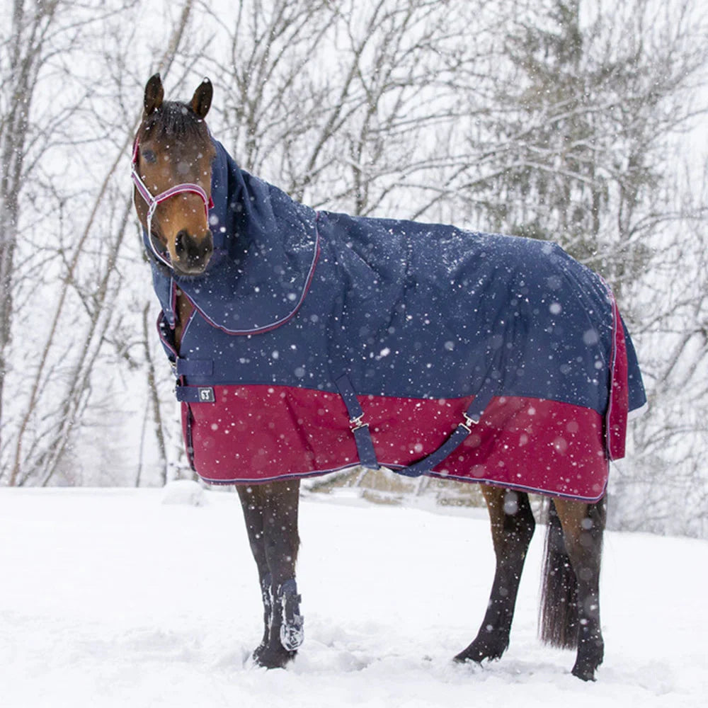 Equitheme Tyrex 1200 D Neck Cover — Equestrian Life