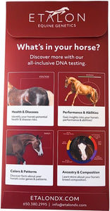 Etalon Equine Genetics Propanel + Ancestry Horse DNA Test, Genetic Tes ...