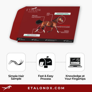 Etalon Equine Genetics Propanel + Ancestry Horse DNA Test, Genetic Tes ...