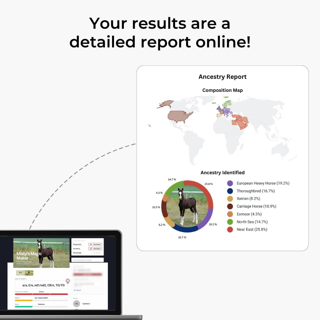 Etalon Equine Genetics Propanel + Ancestry Horse DNA Test, Genetic Tes ...