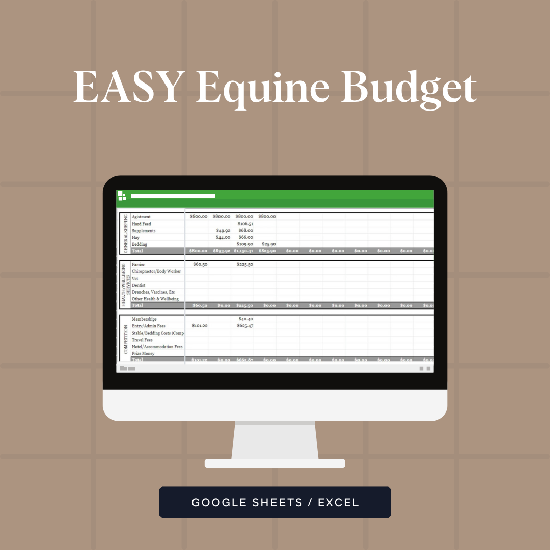 Equine Budget (Google Sheet, Excel) – Equestrian Life