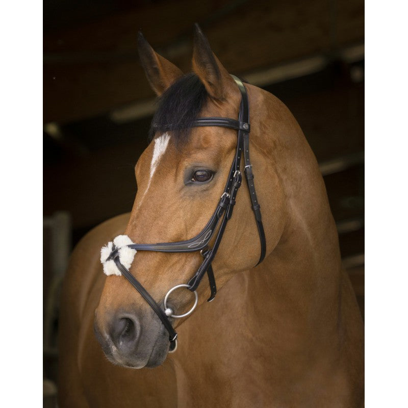 Norton Pro Crossed Noseband Bridle – Equestrian Life