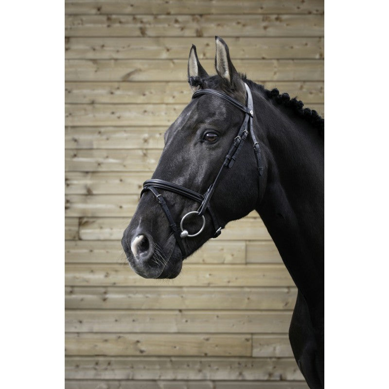 Norton Pro Fin Bridle – Equestrian Life