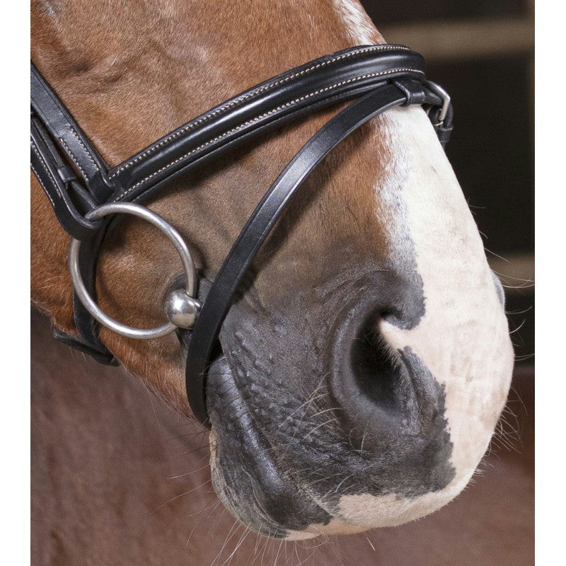Norton Pro Fin Bridle – Equestrian Life