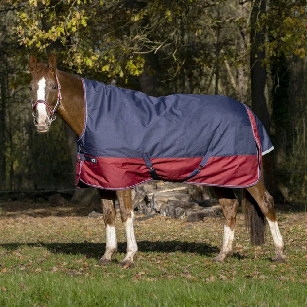 Equitheme Tyrex 1200 D Turnout Rug with high neck – Equestrian Life